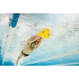 FINIS Swim Training Adult Kickboard, Pool Foam, Alignment Kickboard ...