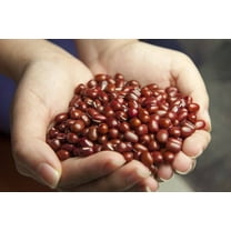 Seedville 100 Red Ripper Cowpea Plant Seeds, Red Pods & Red Peas ...