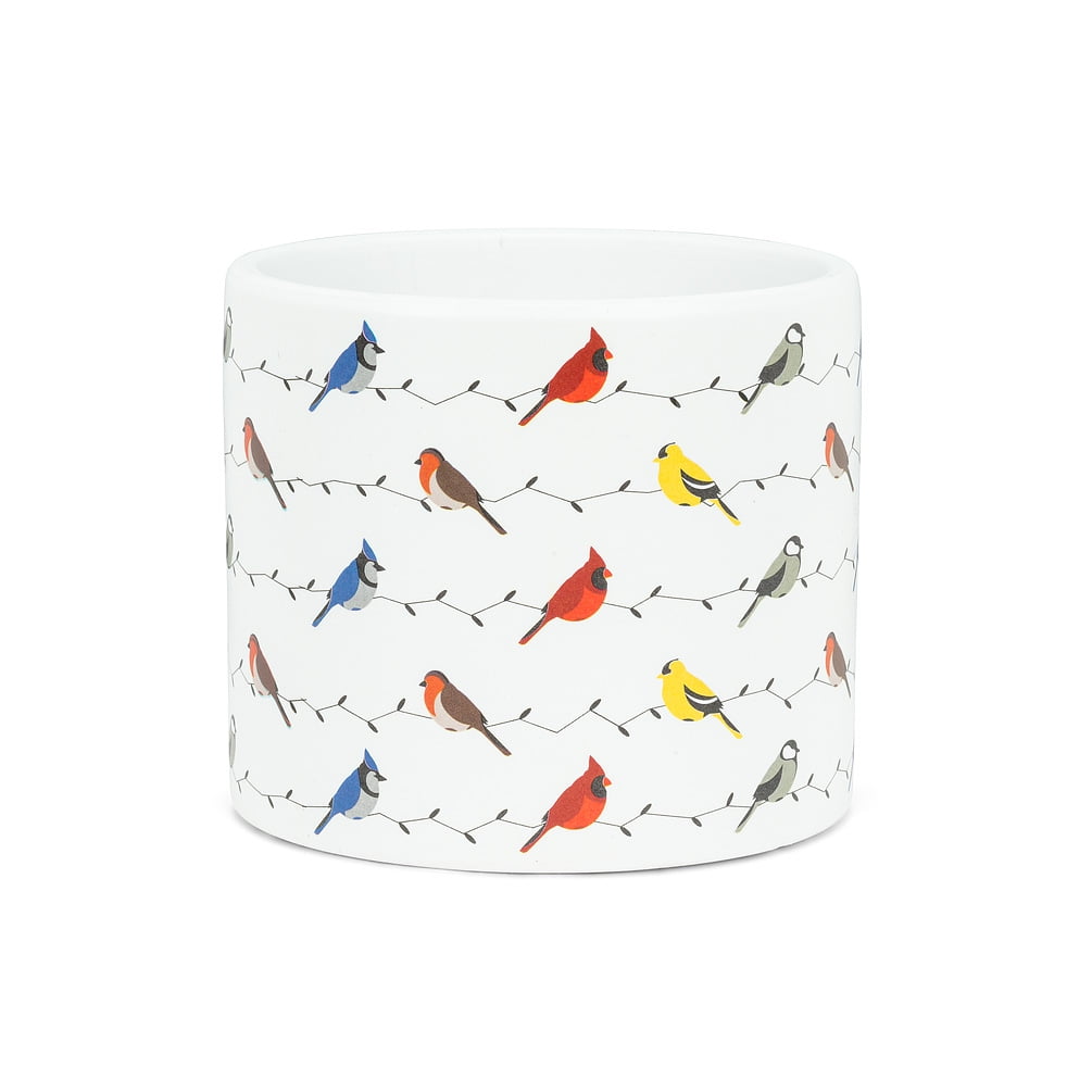 Set of 4 Multi Birds Small Planter - Walmart.com