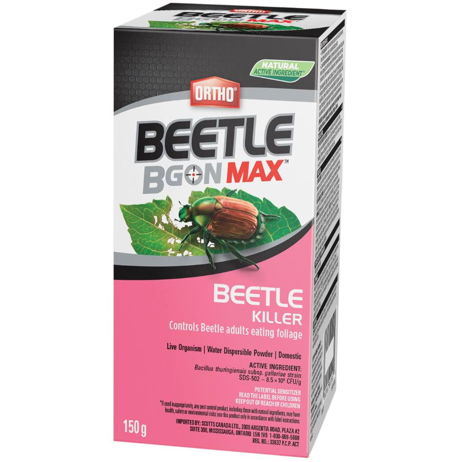 Insecticide Tueur de Coléoptères Beetle-B-Gon - 150 g - Walmart.ca