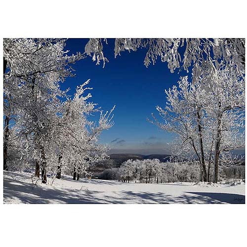Trademark Fine Art Blue Knob Canvas Art By Lois Bryan