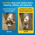 Dr. Buzby's ToeGrips for Dogs, XLarge, Instant Traction on Hardwood ...