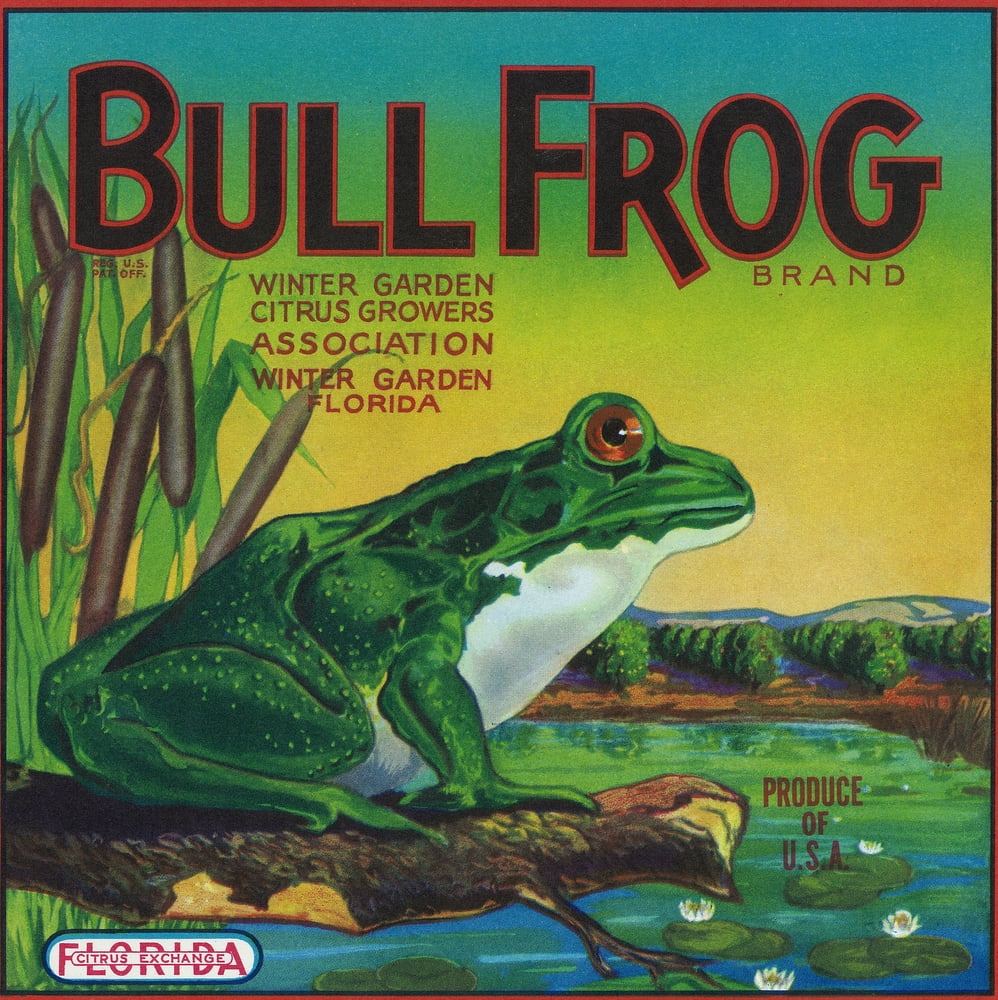 Winter Garden, Florida, Bull Frog Brand Citrus Label (12x18 Wall Art ...