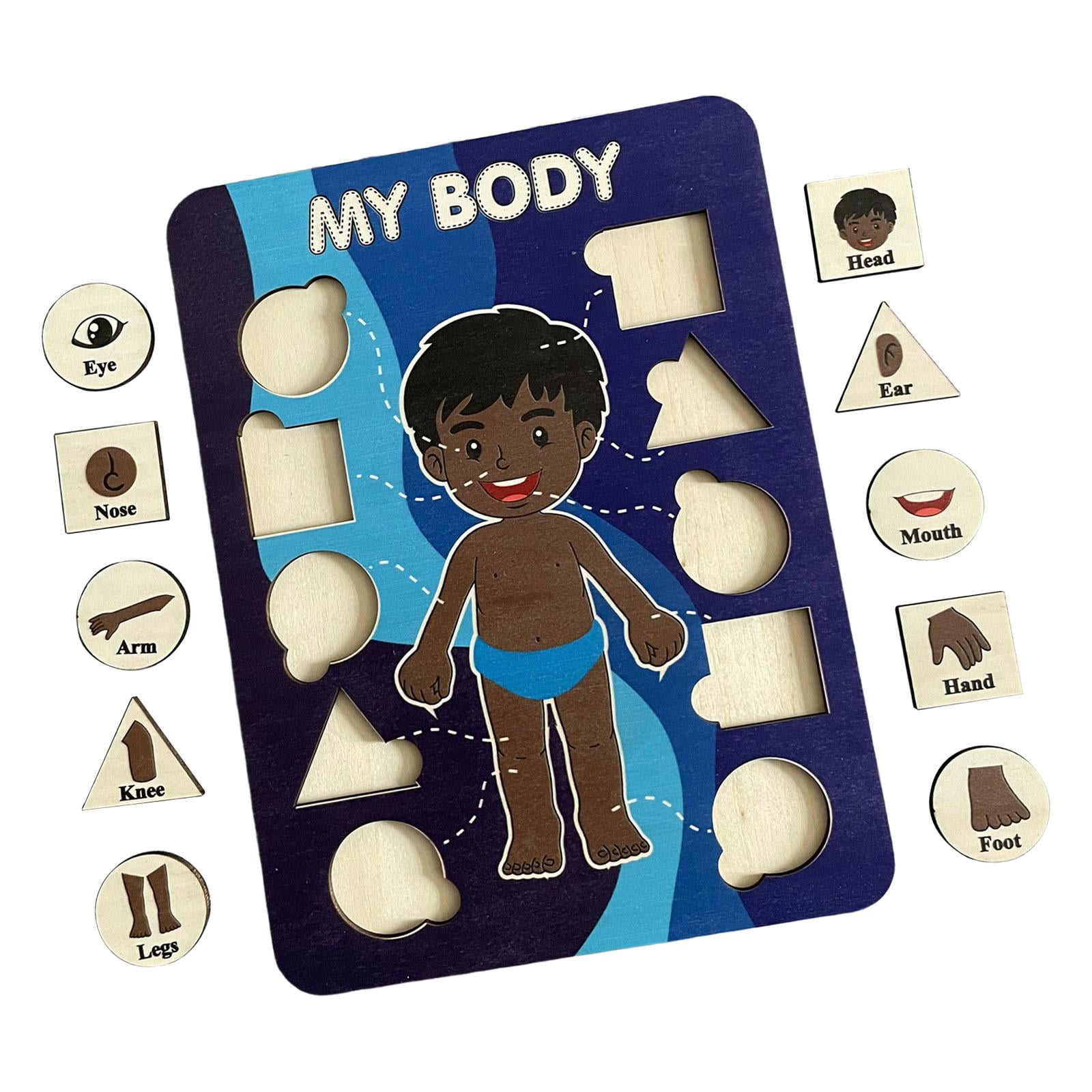 Parts Of The Human Body For Kids