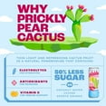 Prickly Pear Cactus Water - Packed With Antioxidants, Electrolytes ...
