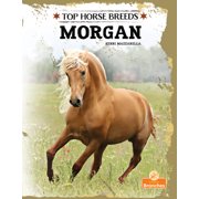 Morgan Horse Farms