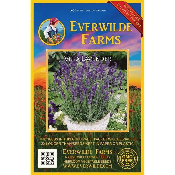 Everwilde Farms - 2000 Vera Lavender Herb Seeds - Gold Vault Jumbo Bulk ...