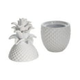 SageBrook Home White Ceramic Pineapple Jar - Walmart.com