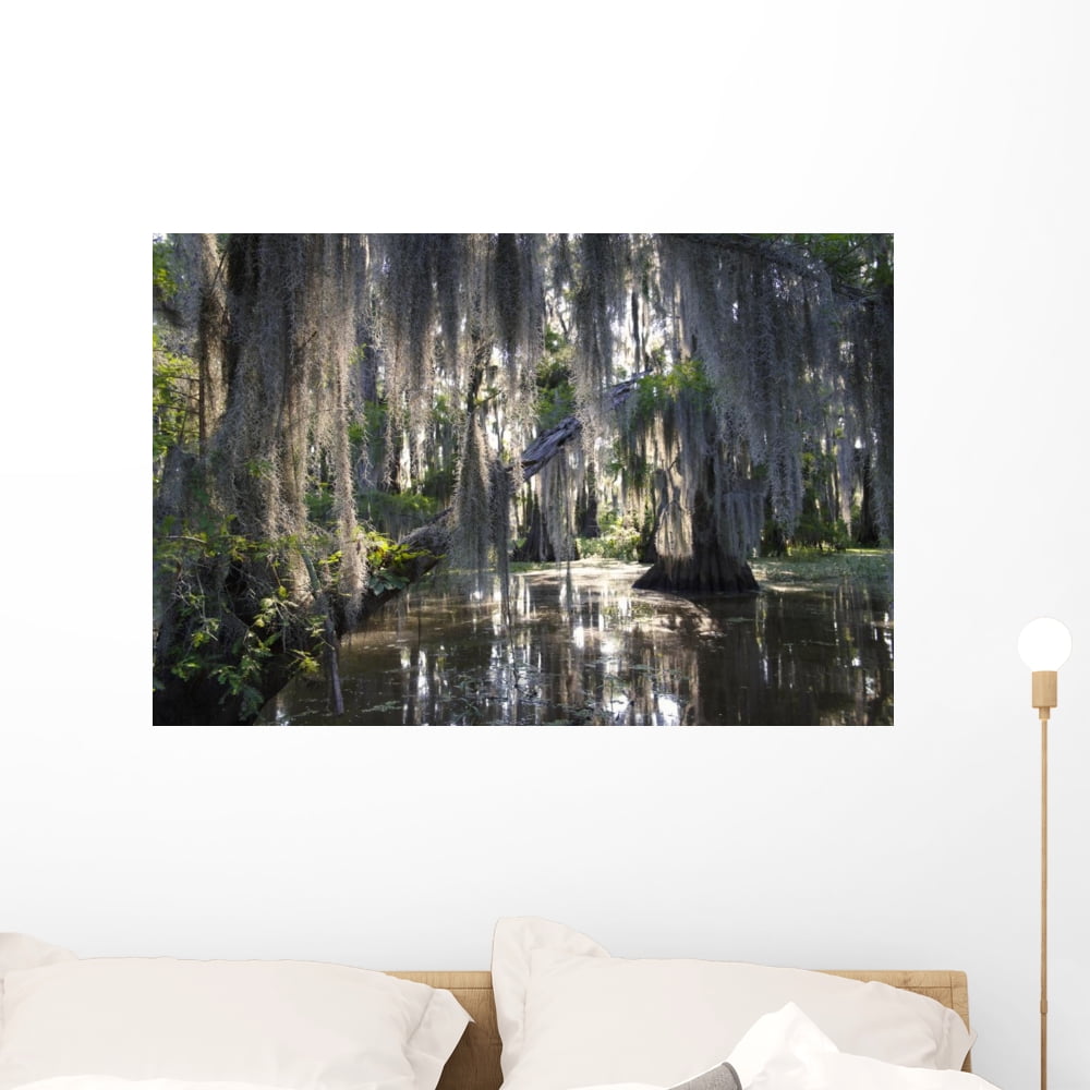 Bayou Swamp Scene with Wall Mural by Wallmonkeys Peel and Stick Graphic ...