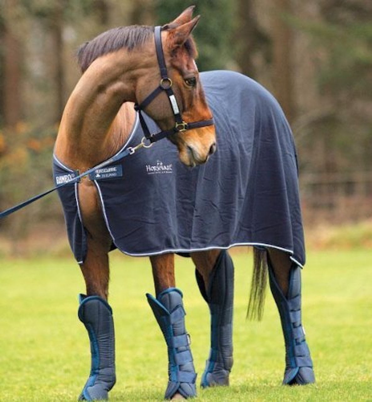 Rambo® Cotton Cooler (Navy/Navy, 69") - Walmart.com