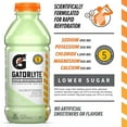 Gatorlyte by PepsiCo - Rapid Rehydration Electrolyte Beverage, Healthy ...