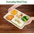 100 Pack 5 Compartment Paper Plates, 10 x 8 inch Disposable Lunch Trays ...