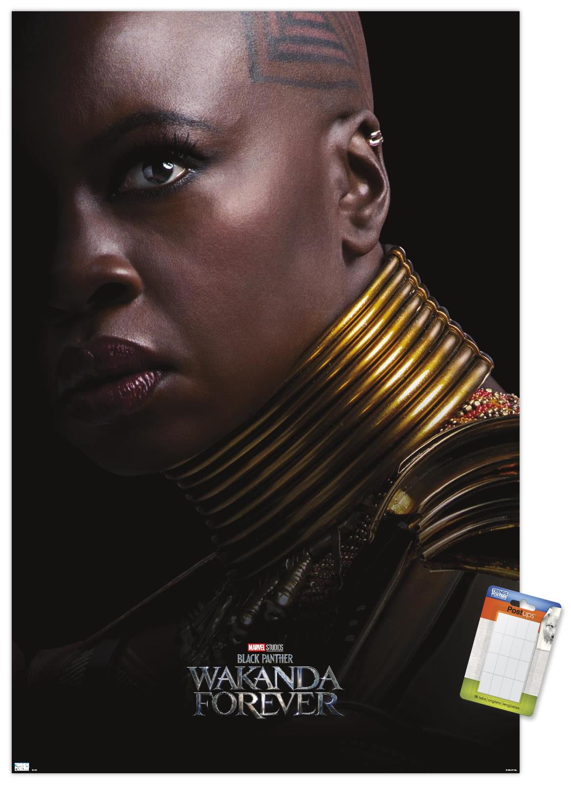 Marvel Black Panther: Wakanda Forever - Okoye One Sheet Wall Poster, 22 ...