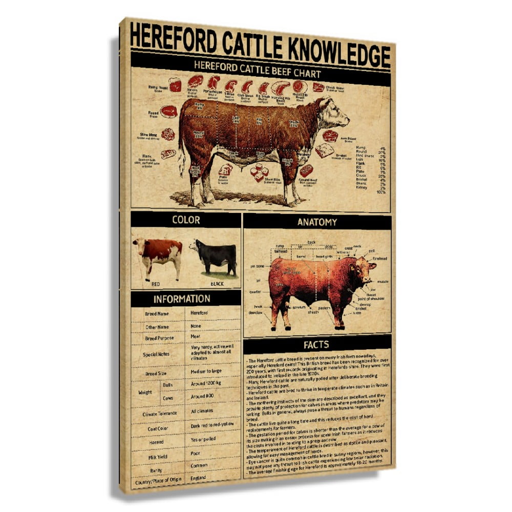 Hereford Cattle Wall Art Knowledge Poster For Bedroom Print Canvas ...