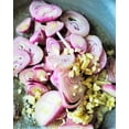 TomorrowSeeds - Monique French Pink Shallot Sets (Bulbs) - 40+ Count ...