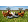 Miller Manufacturing Slide Top Poultry Feeder, 12" - Walmart.com