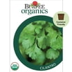 Burpee Organic Sweet Basil Herb Seed, 1-Pack - Walmart.com
