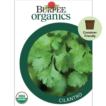 Burpee Organic Sweet Basil Herb Seed, 1-Pack - Walmart.com