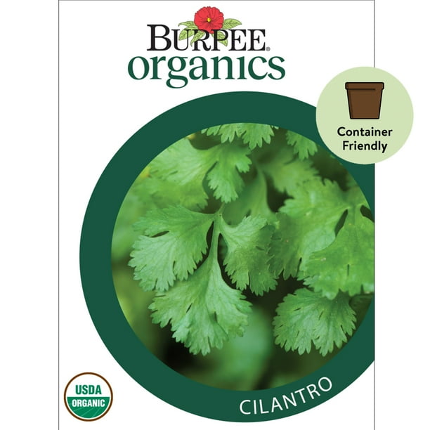 Burpee Organic Common Cilantro Herb Seed, 1-Pack - Walmart.com