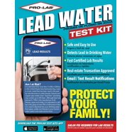 PRO-LAB Lead Paint and Dust Test Kit - Walmart.com