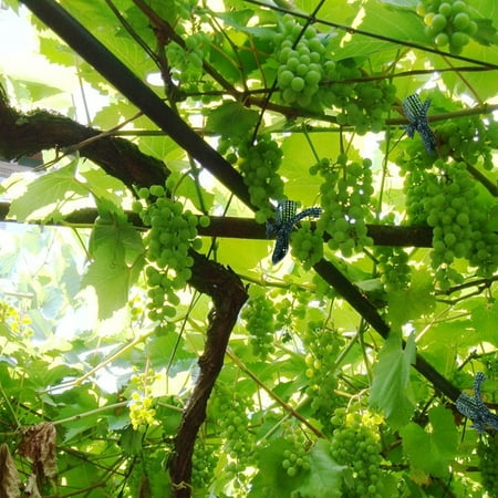 Mymisisa Garden Tree Strap Plant Tie Rope Binding Cable Tree Support ...