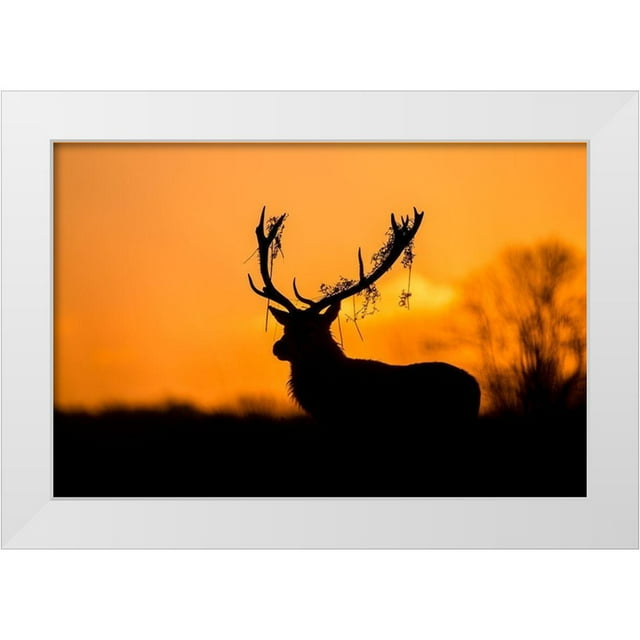 Harling, Stuart 18x13 White Modern Wood Framed Museum Art Print Titled ...
