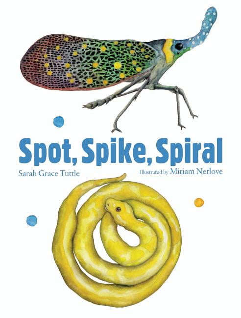 Spot, Spike, Spiral (Board book) - Walmart.com