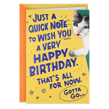 Hallmark Maxine Funny Birthday Cards Assortment (5 Cards with Envelopes ...