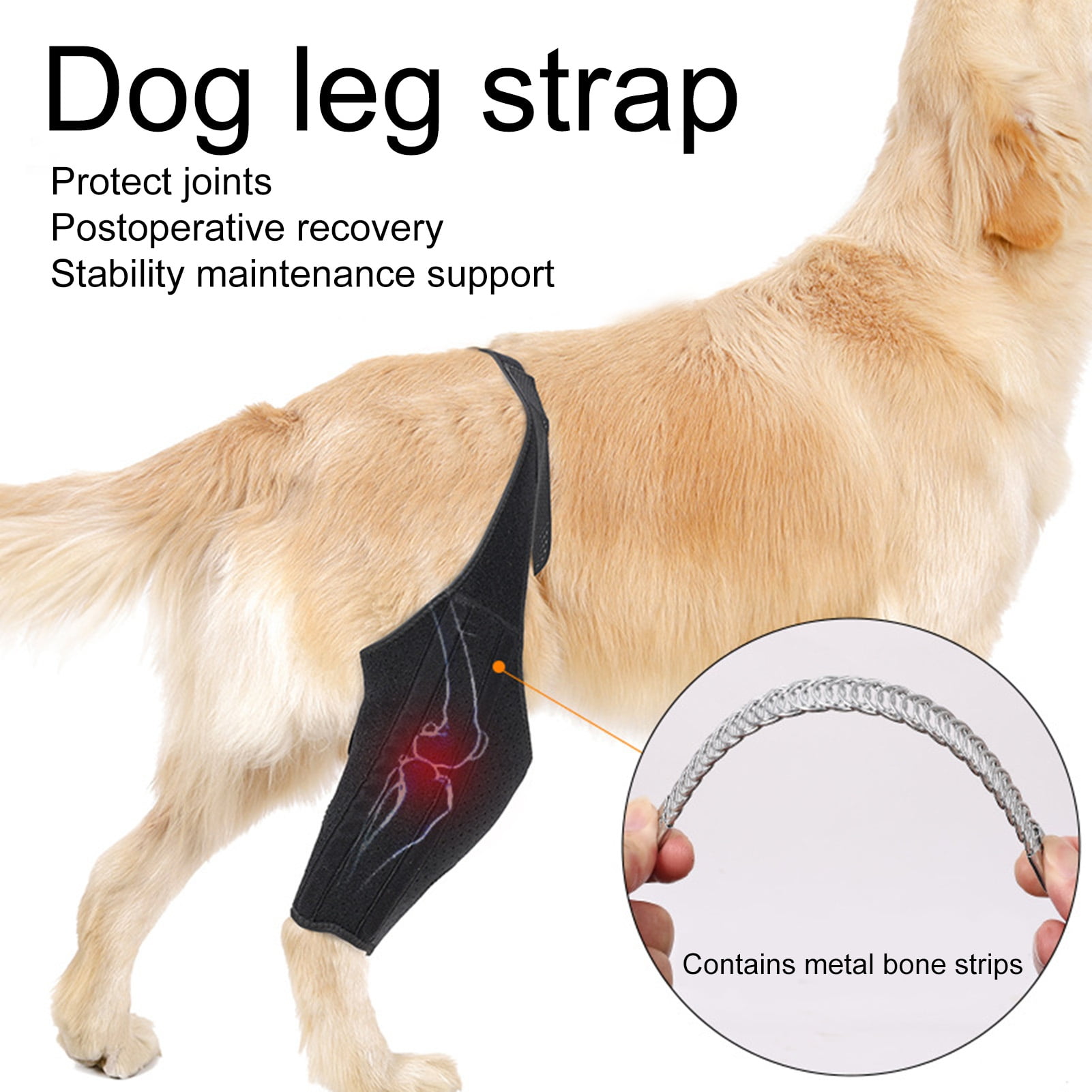 Walbest Dog Knee Rear Leg Brace with Fastening Strap, Wear Resistant ...