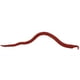Berkley Gulp! Saltwater Extruded Bloodworm Soft Bait - Walmart.com