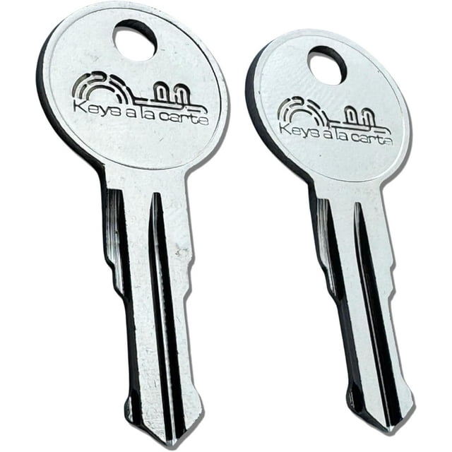 shiyou-Replacement Keys Cut to Code N047 Compatible with Thule Roof ...