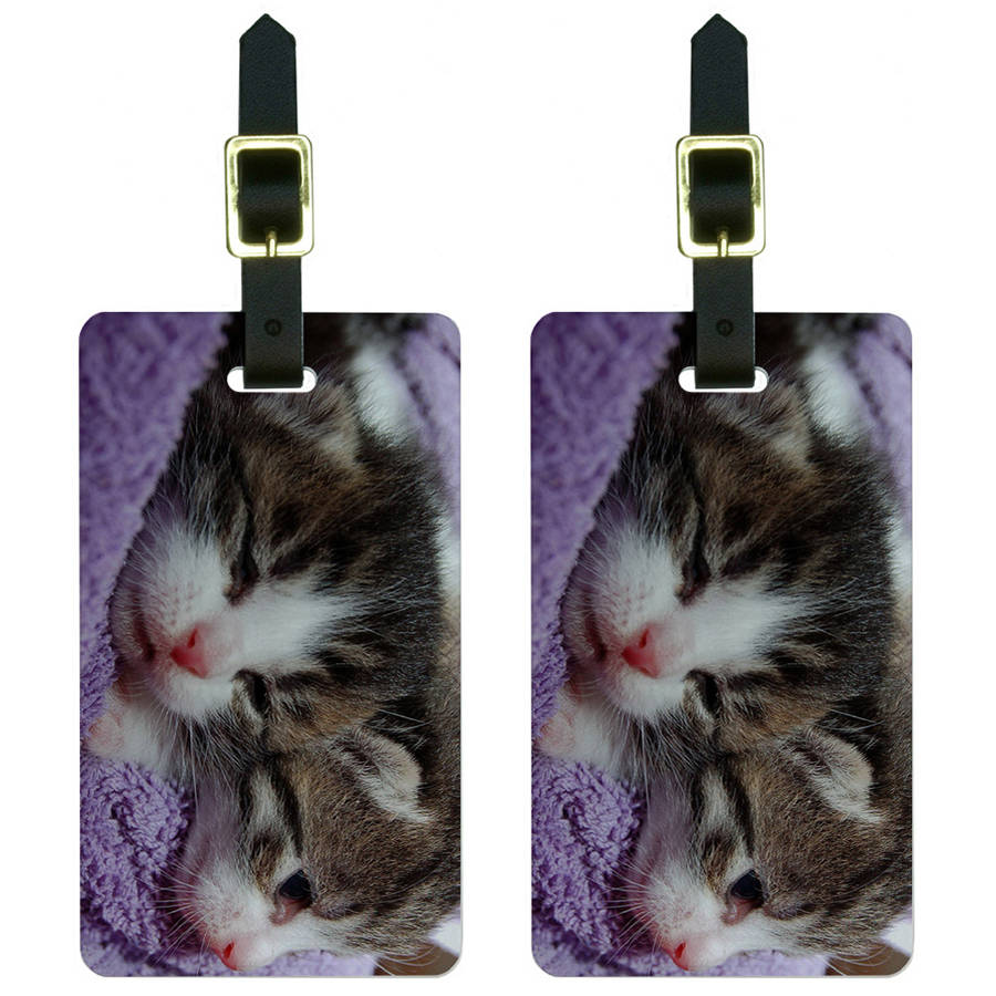 Kittens Kitty Cats Luggage Tags Suitcase Carry-On ID, Set of 2 ...