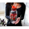 Stranger Things 32-Ounce BPA-Free Water Bottle with Twist Spout and ...