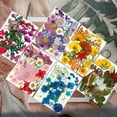 150Pcs Dried Pressed Flowers for Resin, Assorted Real Natural Bulk Dry ...