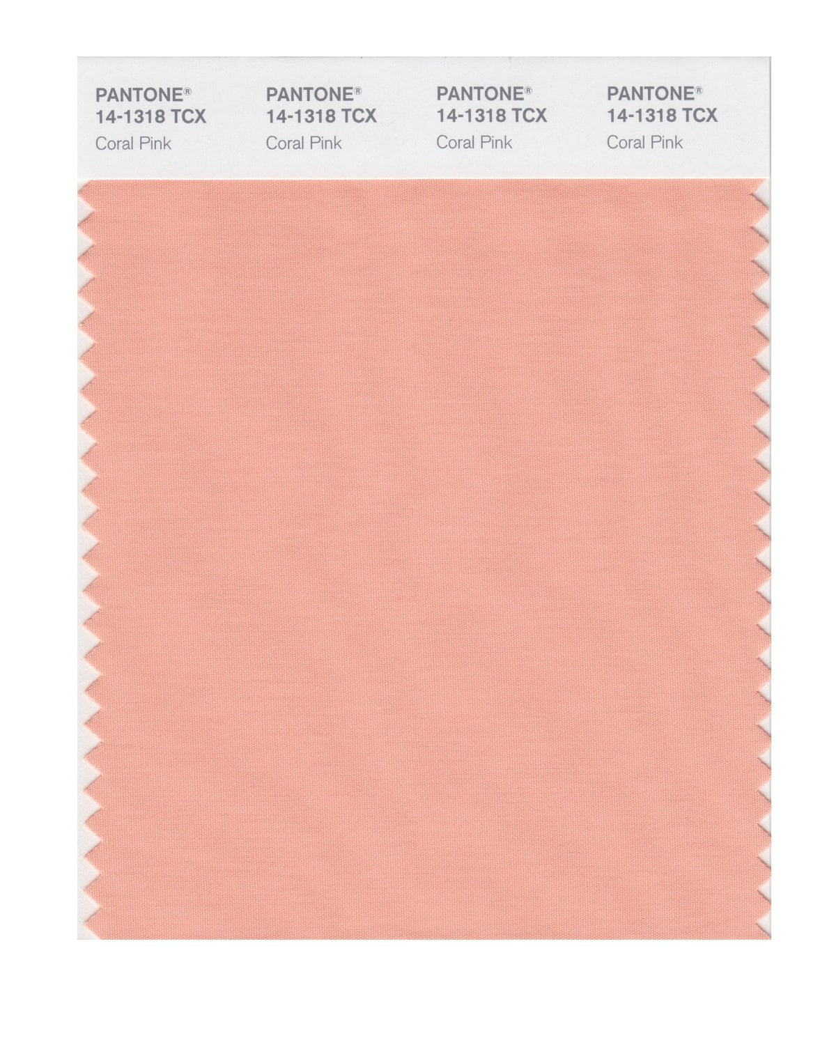 Pink Coral Color Swatch