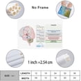 Brain Study Neural Science Educational Poster Classroom Research ...