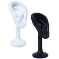 Earring Display Stand for Jewelry Organization - Human Ear Model with ...