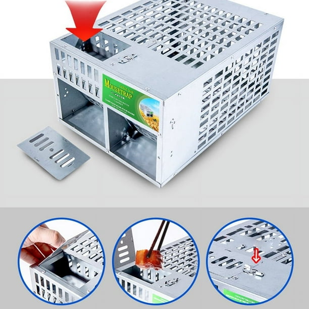 Rat Trap Indoor,Mouse Trap Full Automatic Chipmunk Trap Mousetrap World ...
