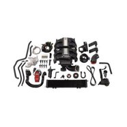 Ford FE Performer RPM Dual Quad Manifold - Walmart.com