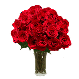 Two Dozen Red Roses- Beautiful Fresh Cut Flowers- Express Delivery ...