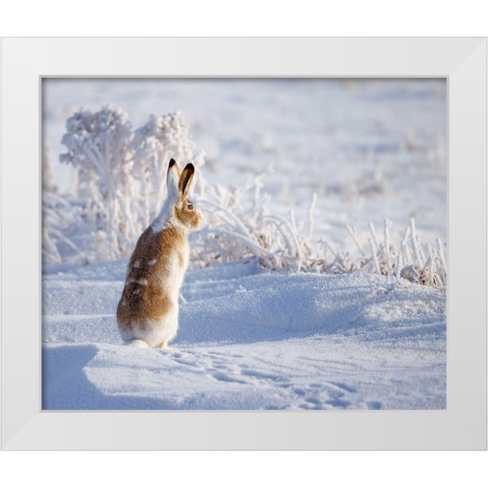 Waldmann, Shlomo 17x15 White Modern Wood Framed Museum Art Print Titled ...