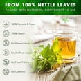 Premium 135 Nettle Leaf Tea Bags, 100% Natural & Pure, Stinging Nettle ...