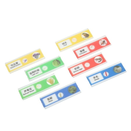 Microscope Specimen Slides, Clear Safe Multifunctional Plastic Prepared ...