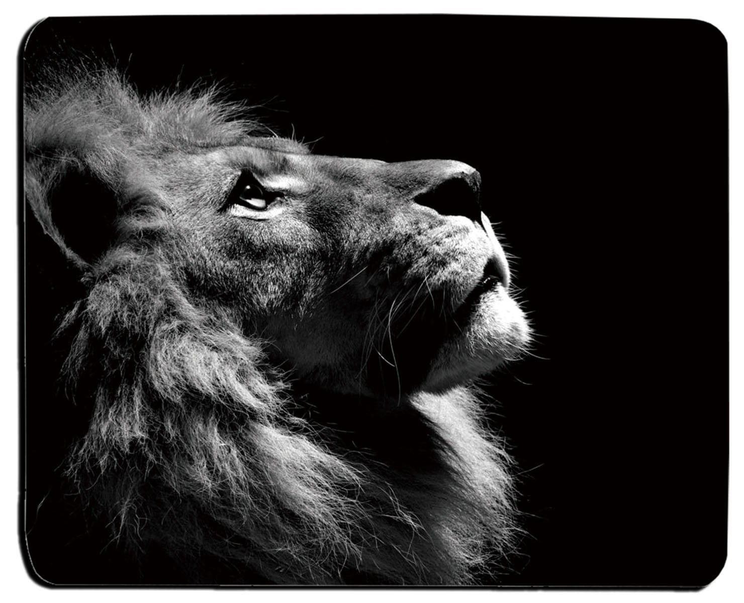 POPCreation Thingking Lion Mouse pads Gaming Mouse Pad 9.84x7.87 inches ...