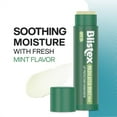 Blistex Medicated Mint Lip Balm, Seals in Moisture to Soothe and Prevent Dry Lips, Smooth Easy ...