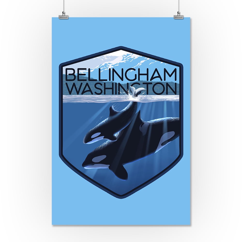 Bellingham, Washington Orca and Calf - Contour - Lantern Press Artwork ...