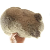 1 Plush Wombat Stuffed Animal Toy - Plushie Stuffie Australian ...