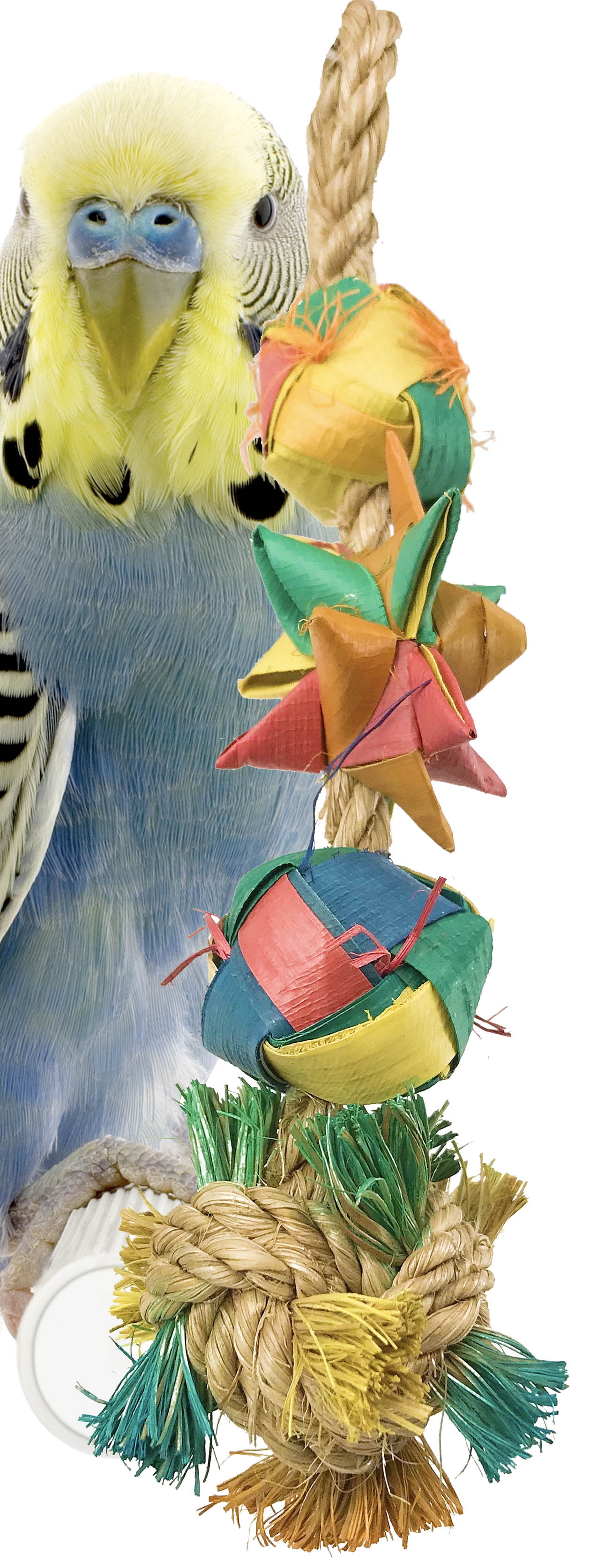 Bonka Bird Toys 02047 Small Comet - Walmart.com