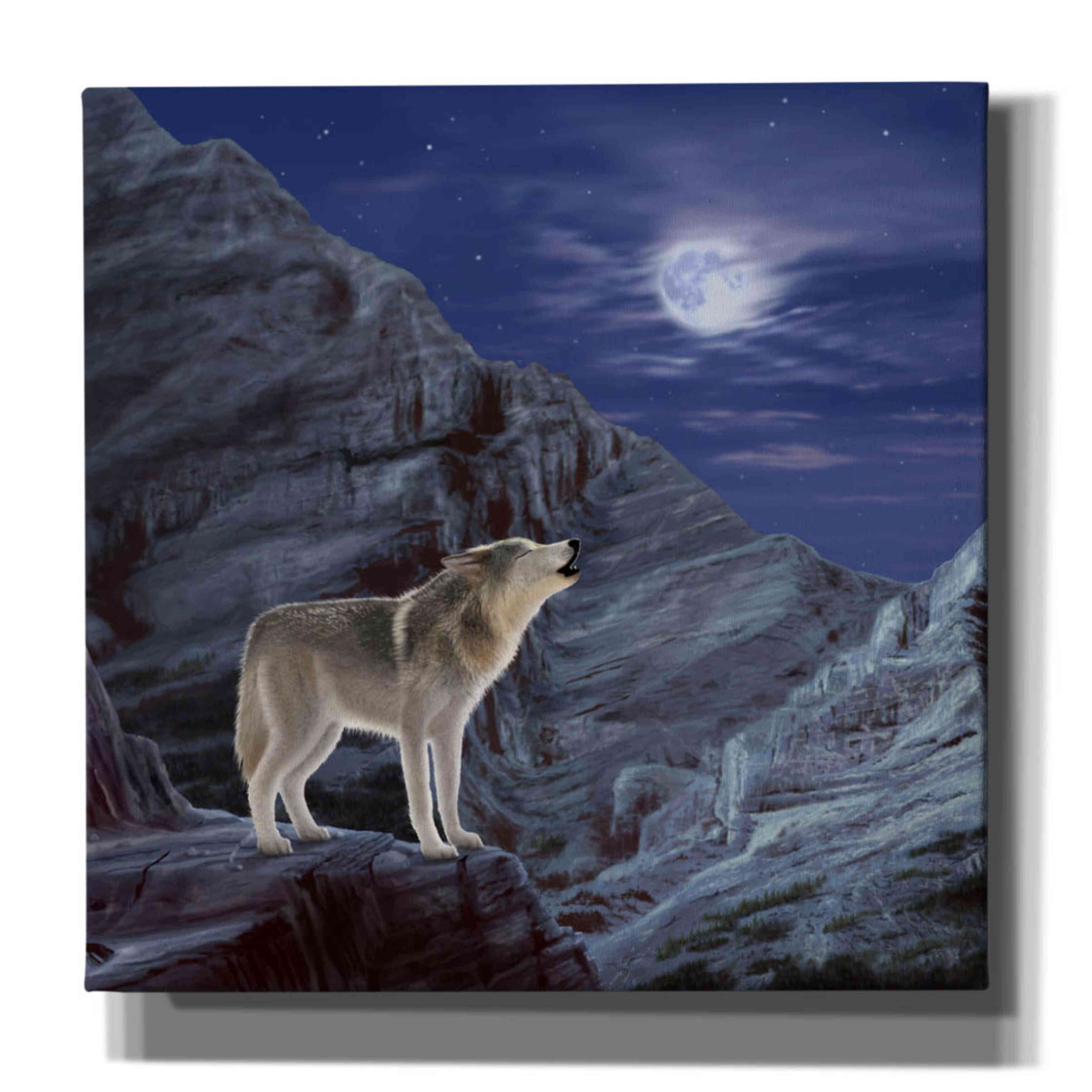 Epic Graffiti 'Wolf Moon' by Chris Dobrowolski, Canvas Wall Art, 18"x18 ...