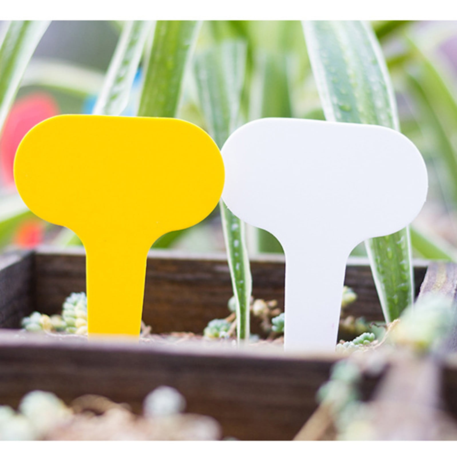 Pompotops Plant Label T-Type Plant Labels Plastic Plant Tags Nursery ...